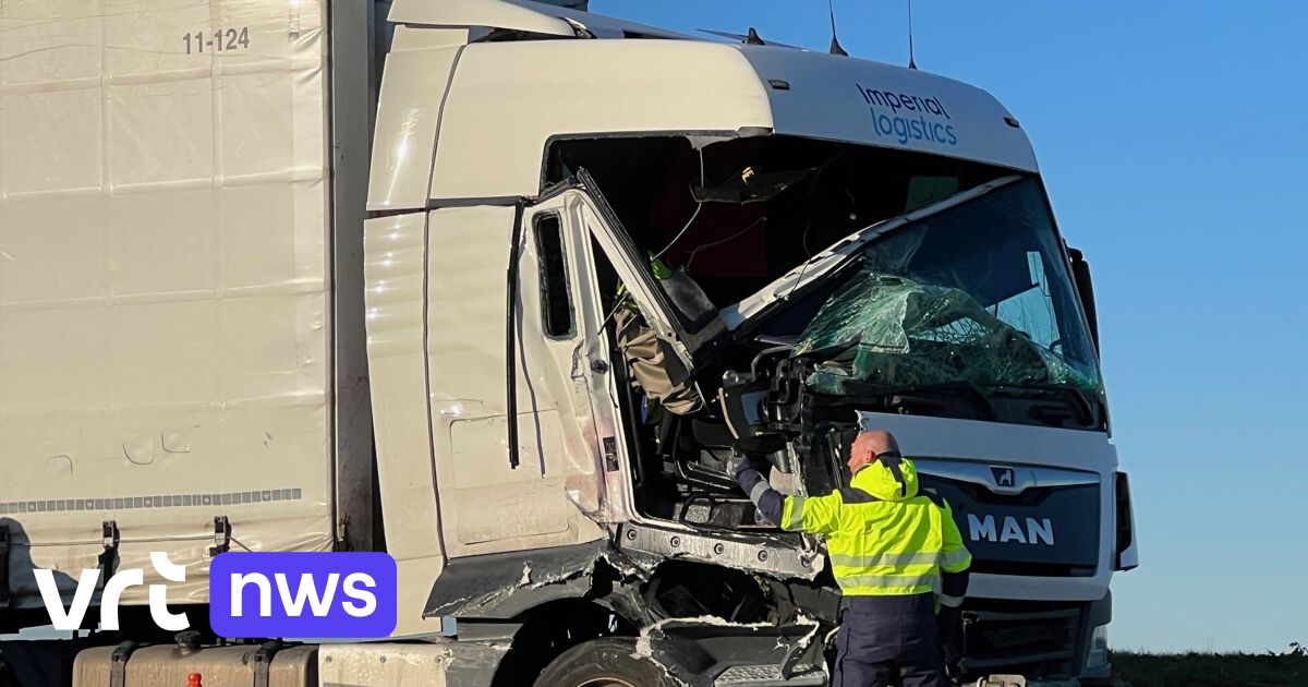 File op E40 na ongeval met vrachtwagens in Booitshoeke | VRT NWS: nieuws