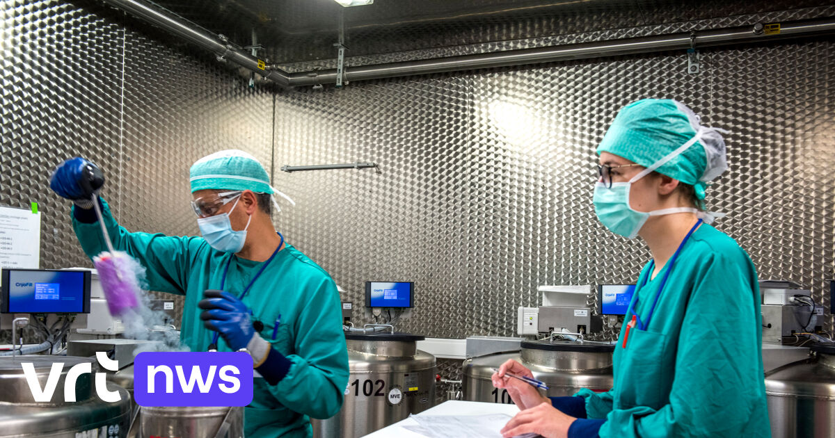 "Eicellen invriezen werkt": 41 procent krijgt na 40e nog een kind | VRT ...