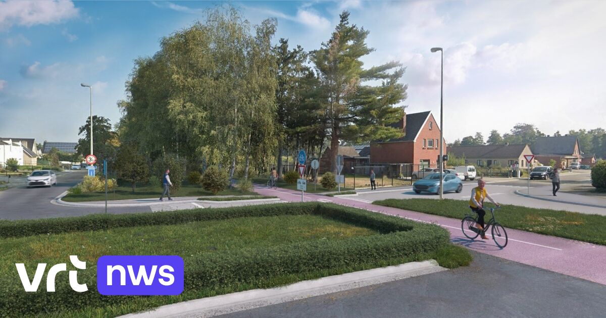 30 oversteekplaatsen op fietssnelweg tussen Hamont en Hasselt worden duidelijker en veiliger ...