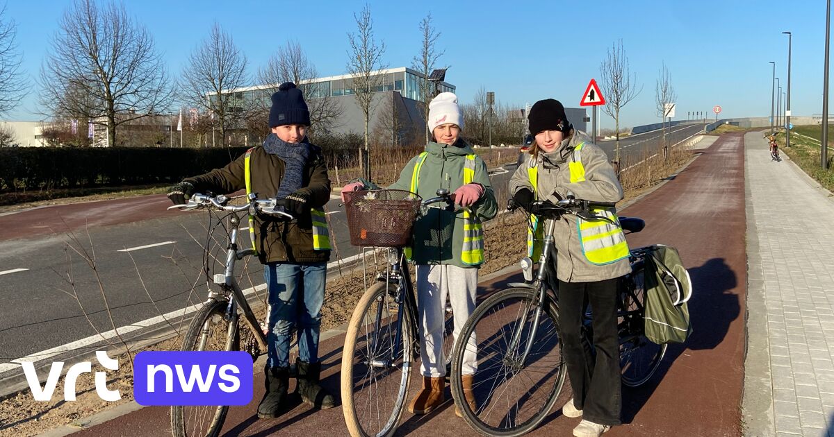 Nieuwe brug boven E313 in Wommelgem ingereden door schoolkinderen: "Het is veel veiliger nu ...