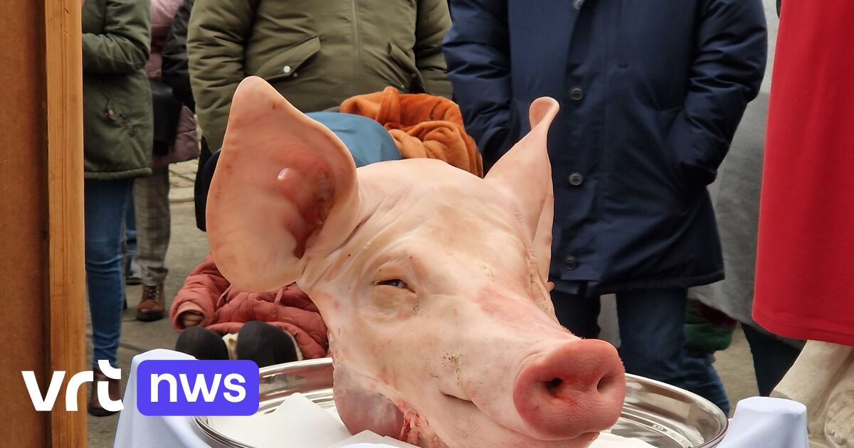 700 euro voor een varkenskop: opbrengst Sint-Antoniusviering in Wever ...