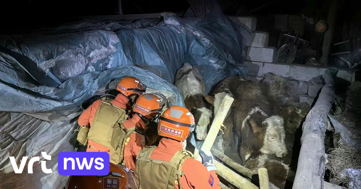 Aardbeving met kracht van 7,1 in China, maar aantal slachtoffers en ...