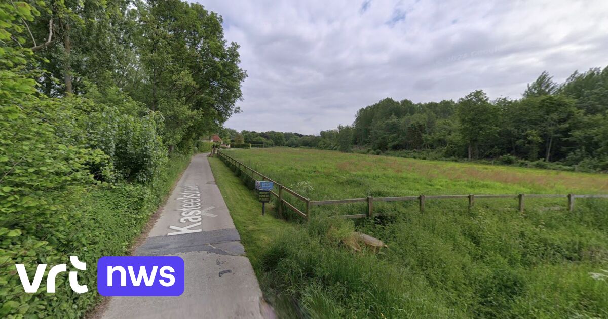 Oosterzele vraagt provincie om meer buffercapaciteit tegen ...