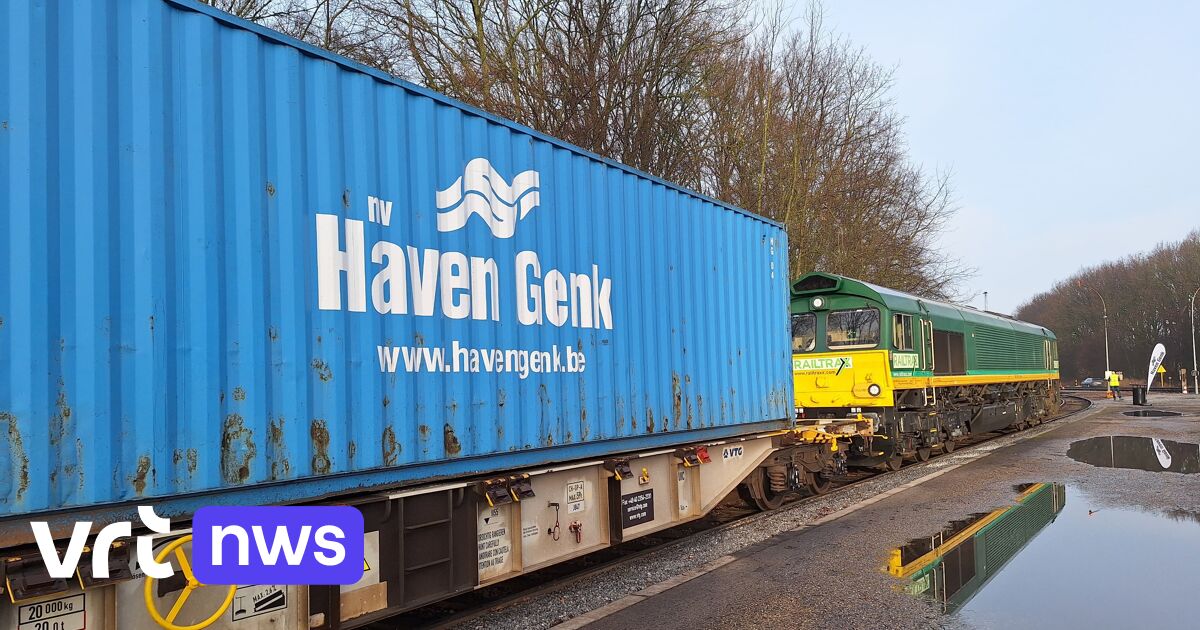 Nieuwe treinverbinding tussen de havens van Genk en Zeebrugge: "Hiermee halen we 12.000 ...
