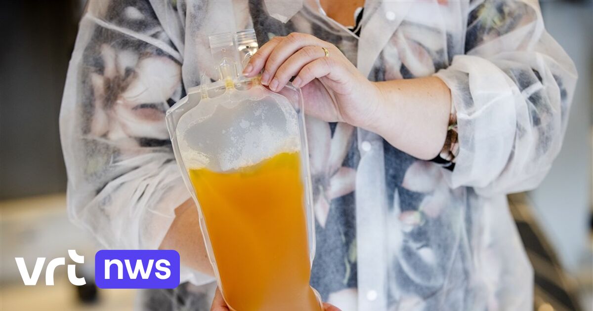 Meer vraag naar bloedplasma: Rode Kruis zoekt extra donoren | VRT NWS: nieuws