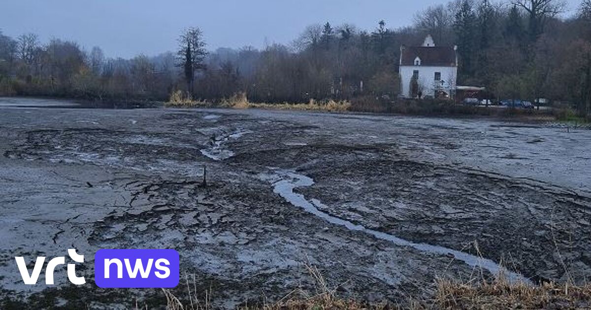 Vijvers van Zoet Water in Oud-Heverlee worden drooggelegd: "Eerst het ...