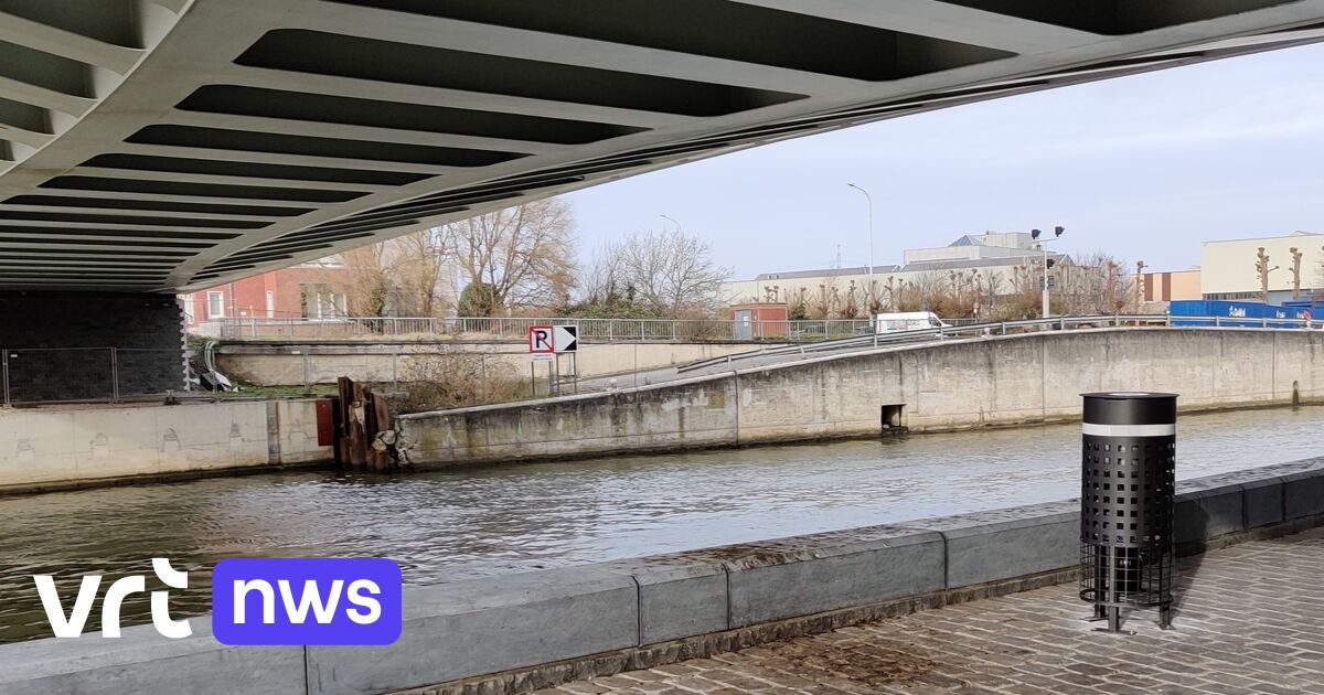 Harelbeke zet anticonceptiemiddel in om aantal duiven te verminderen ...
