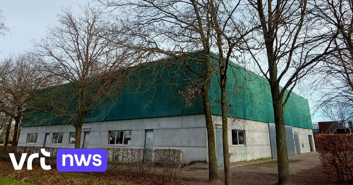 Stad Eeklo vindt nieuwe plek voor kwetsbare jongeren in de Blokhutten in Heldenpark | VRT NWS ...