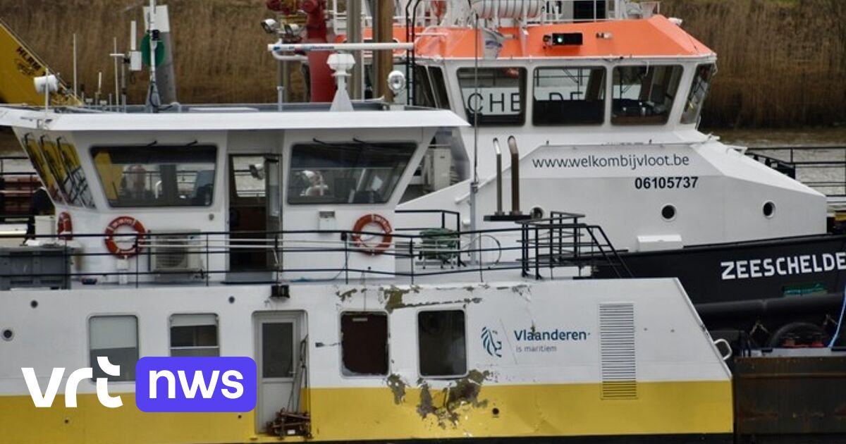 Binnenschip vaart tegen veerboot op de Schelde | VRT NWS: nieuws
