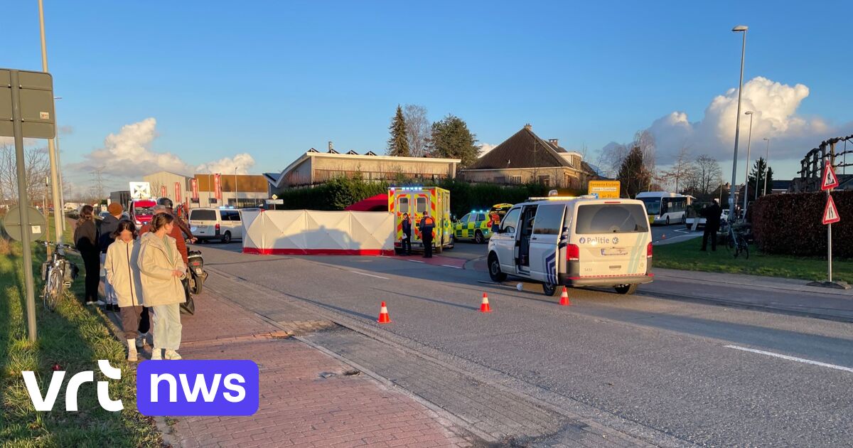 Motorrijder overleden na aanrijding in Steendorp | VRT NWS: nieuws
