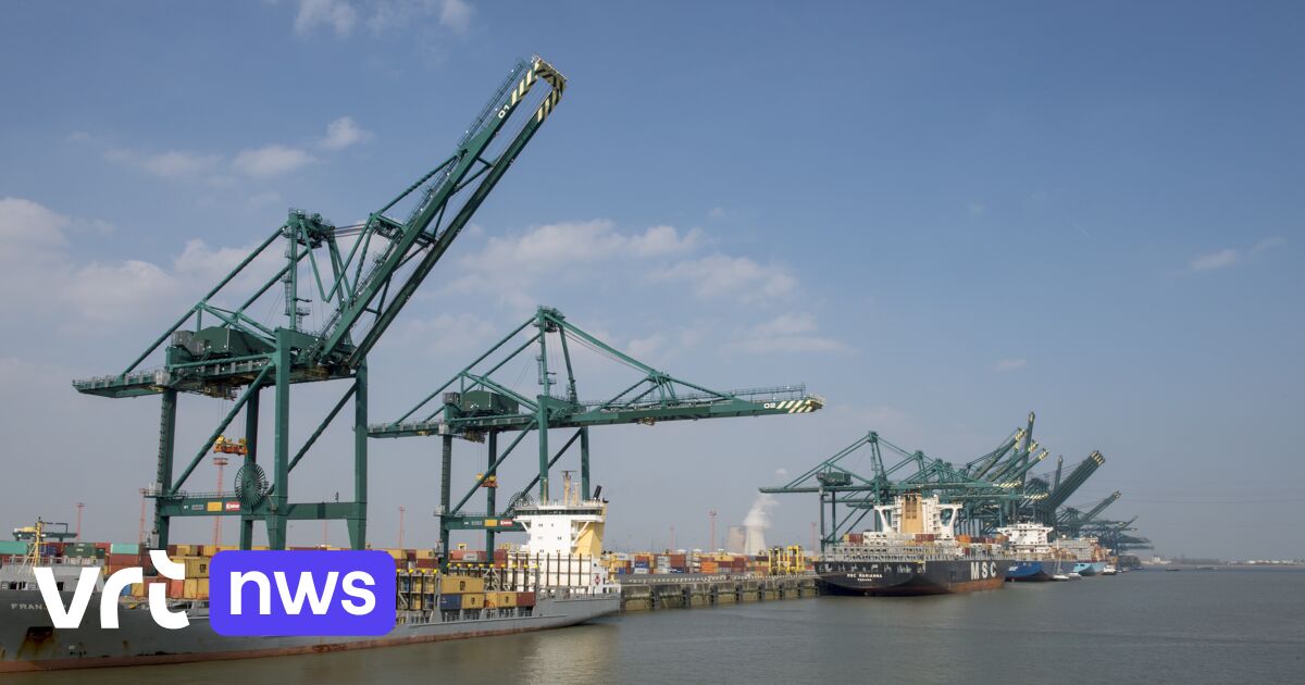 Marine pilots take action again against pension reform | VRT NWS: news