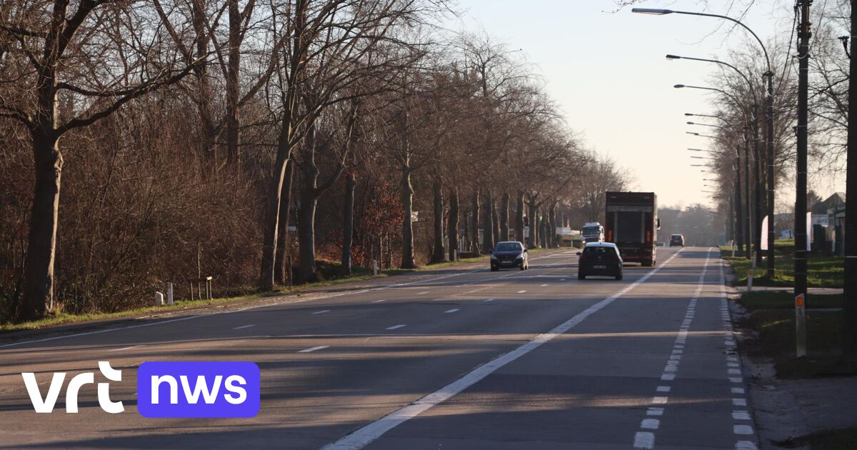 N9 tussen Lede en Aalst in 2025 heraangelegd: "Veiliger voor fietsers en meer groen" | VRT NWS ...
