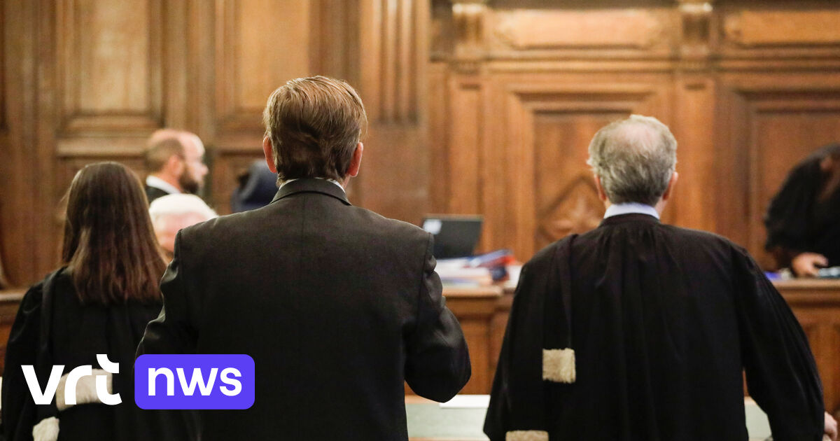 Strengere straffen voor seksueel geweld en terrorisme, maar ook meer "maatwerk": zo ziet het ...