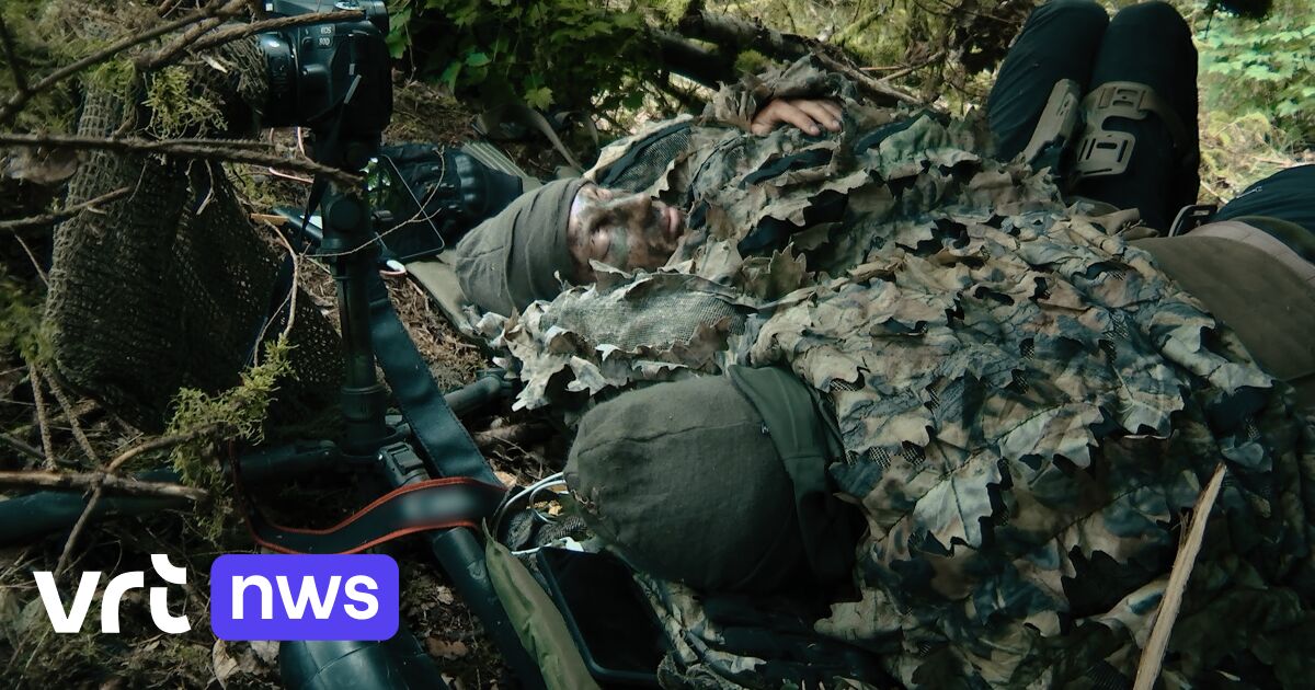 "Wakker worden Kamp Waes": kandidaten zijn uitgeput, maar wat doet al ...