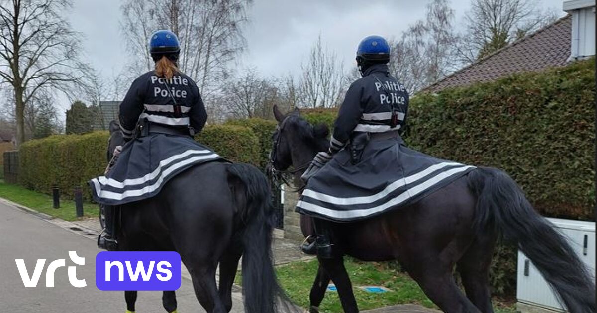 Politie patrouilleert te paard in Herent en Kortenberg: "Ruiters zien ...