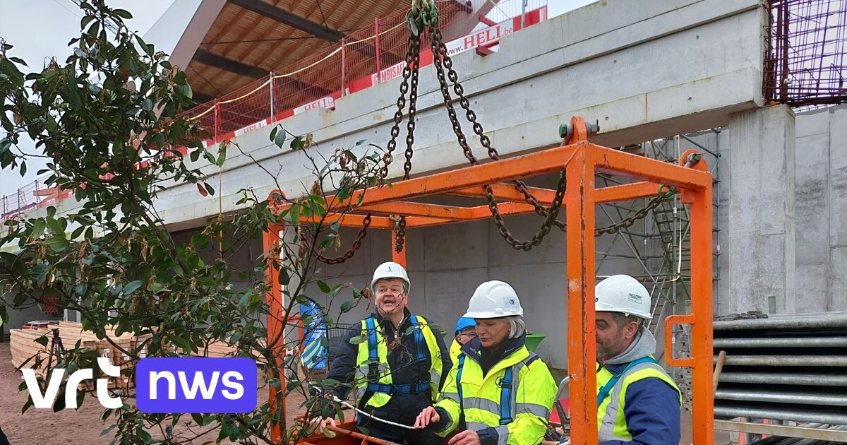 Symbolische meiboom geplaatst op 13 meter hoge boog van het ...