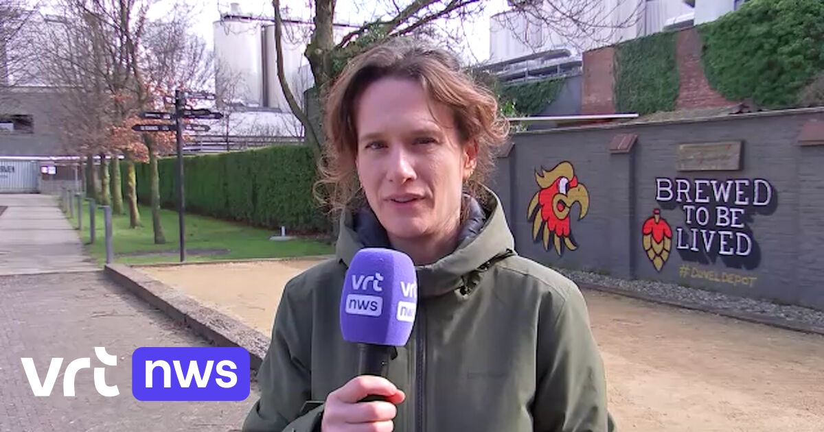 Marjan Temmerman: "Eén bedrijf per dag wordt getroffen door een ...