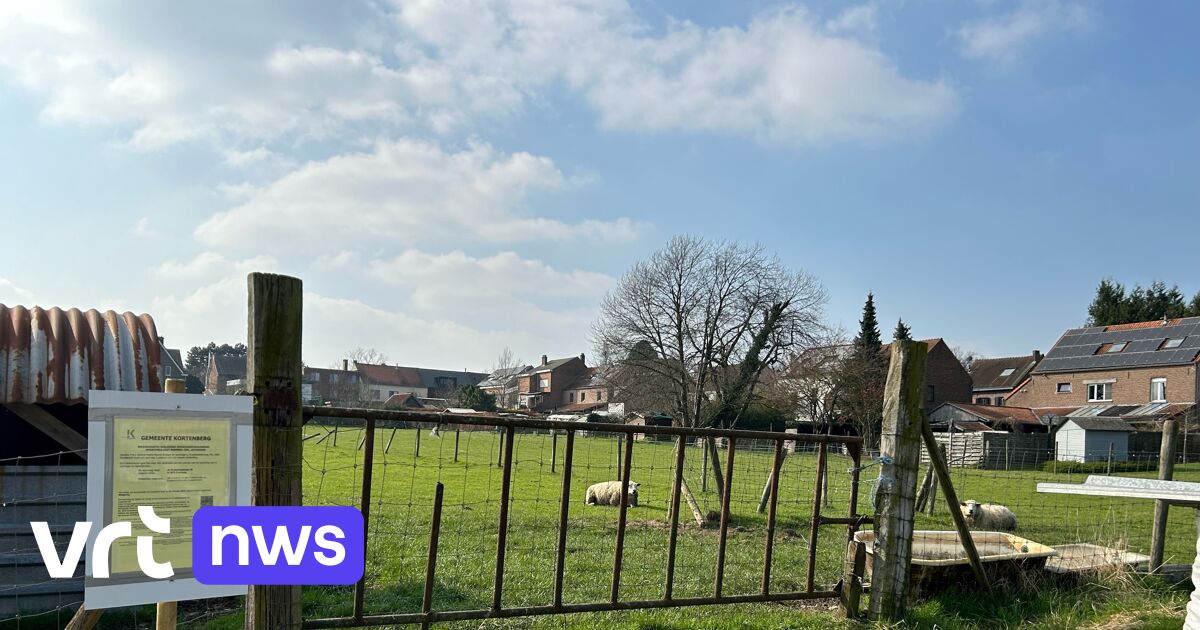 Gemeente Kortenberg weigert bouwaanvraag voor 31 woningen: "Geen fan ...