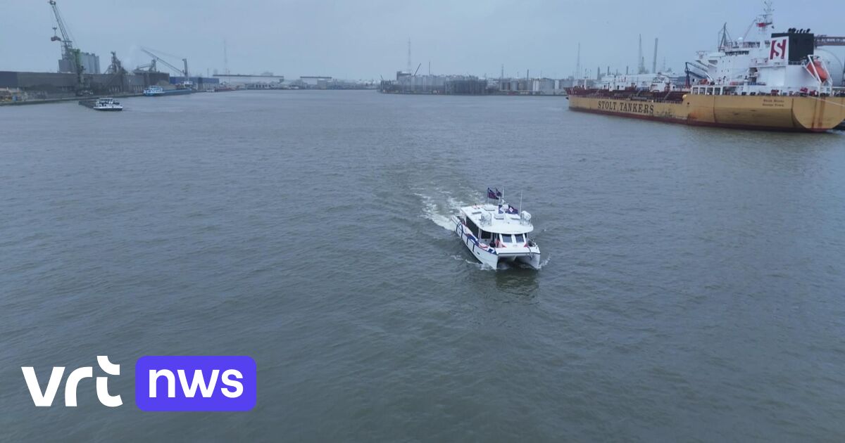 Antwerp shipping company CMB.TECH set to become one of the largest ...