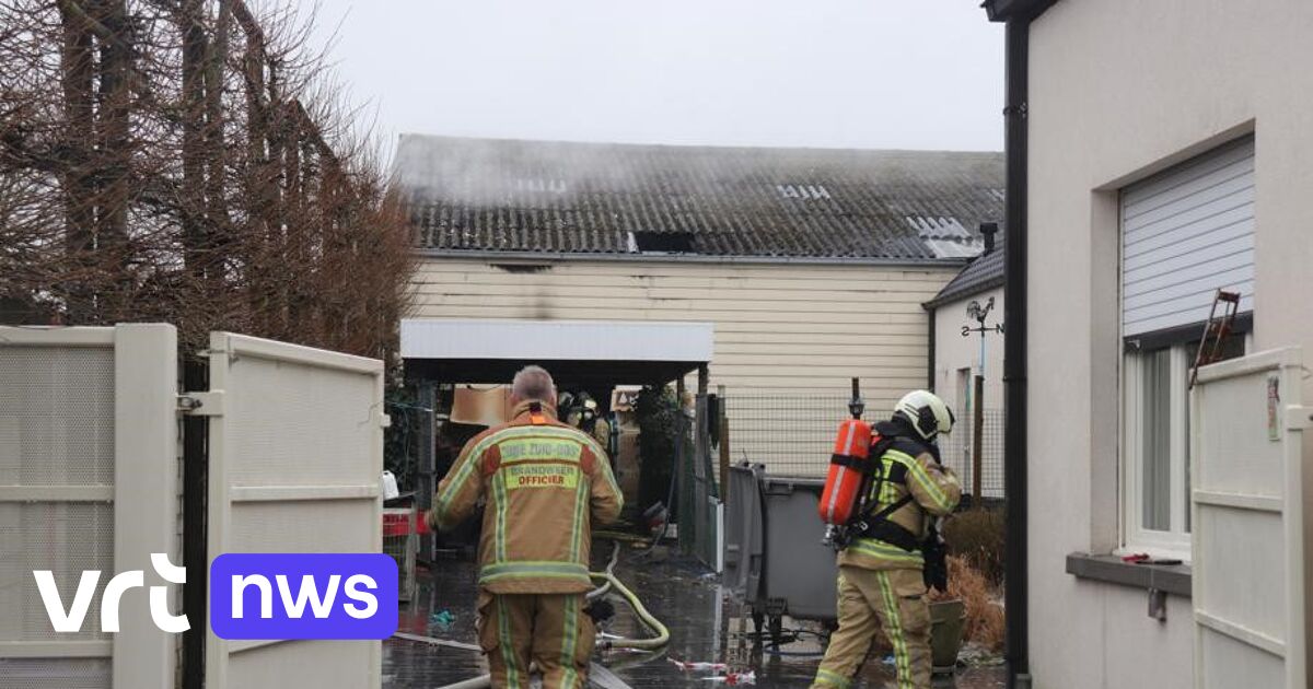 Brandweer redt honden uit brand in Smetlede | VRT NWS: nieuws