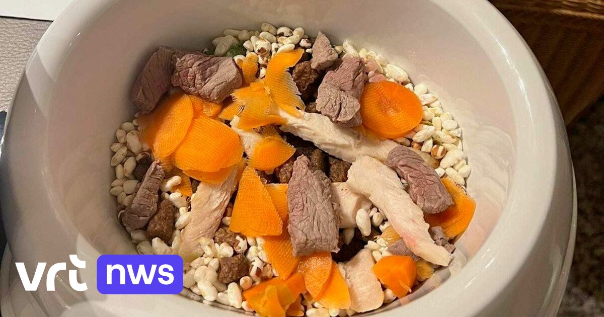 Speciaal menu voor honden in restaurant in Knokke-Heist: "Klanten ...
