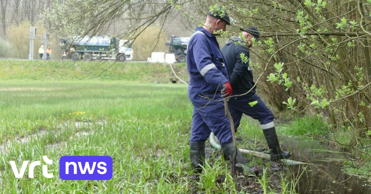 Rioolwater en slib geloosd in natuurgebied Turfputten in Gelrode ...