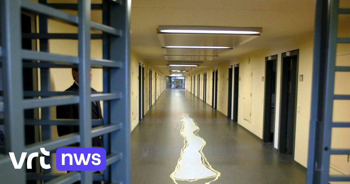 Ex-advocate uit Nieuwerkerken veroordeeld tot 4 jaar cel voor geweld tegen deurwaarders | VRT ...