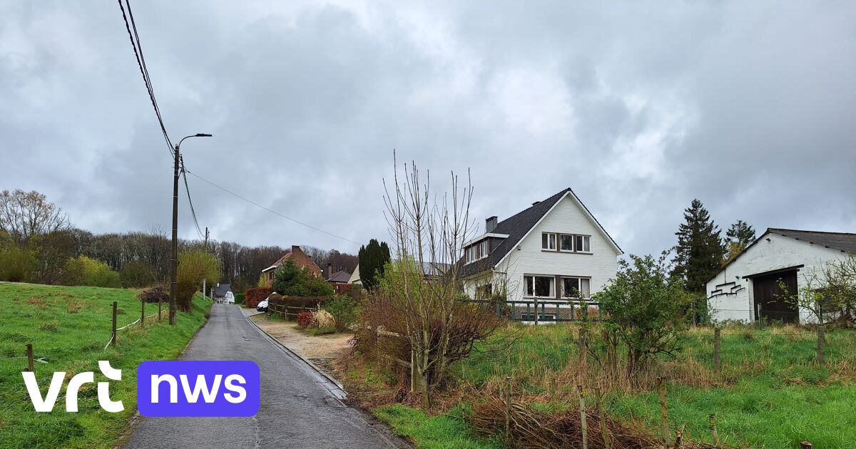 Tragisch ongeval in Dworp: man overlijdt nadat echtgenote hem per ...