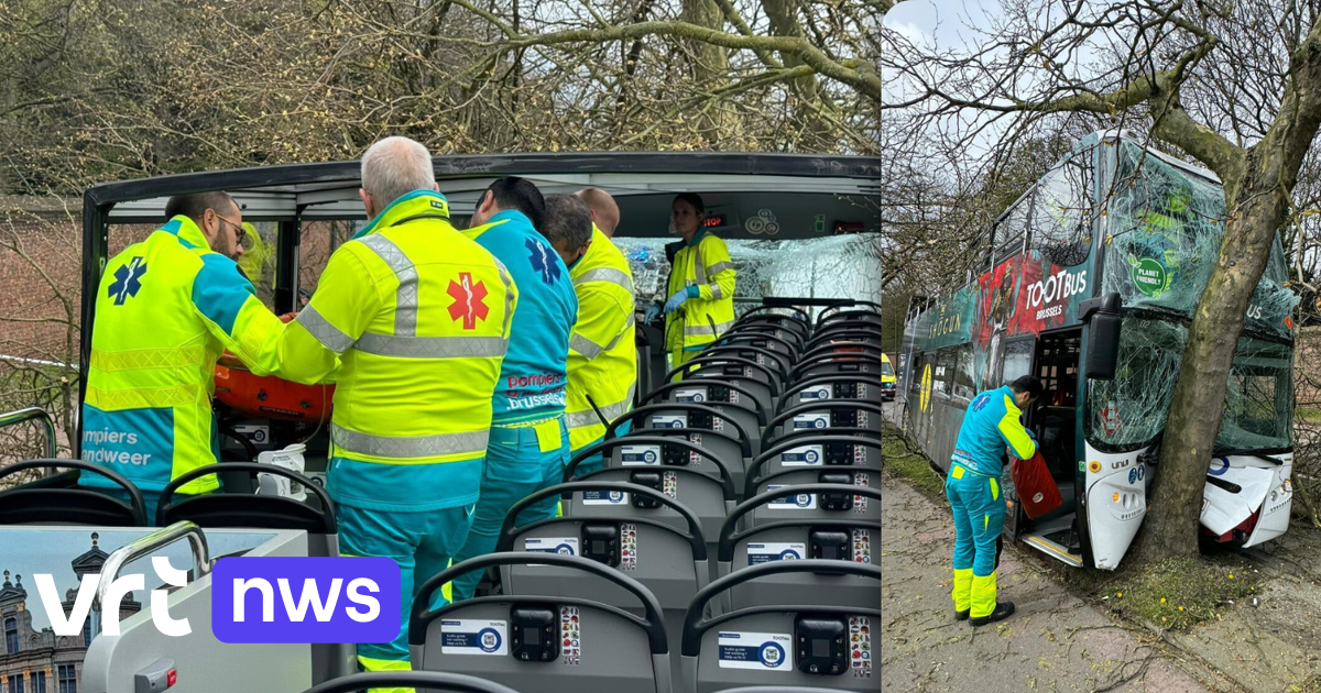 Bus met toeristen rijdt tegen boom in Brussel: "Meerdere gewonden ...