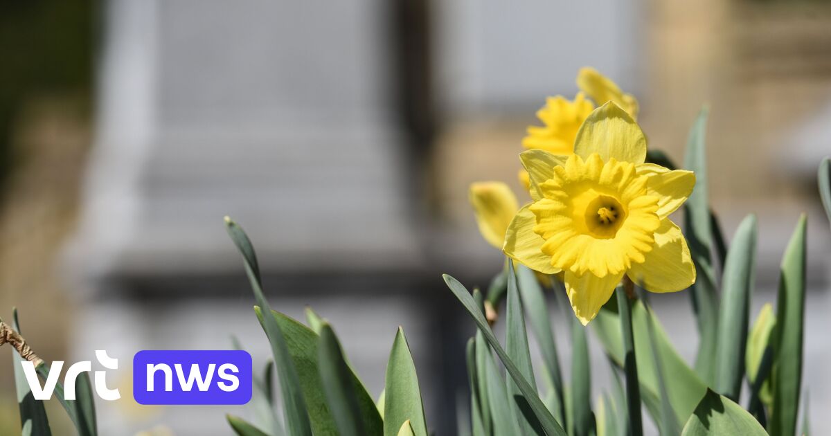 Eerste lentedag van 2024 én dagrecord is een feit, maar kaap van 25 ...