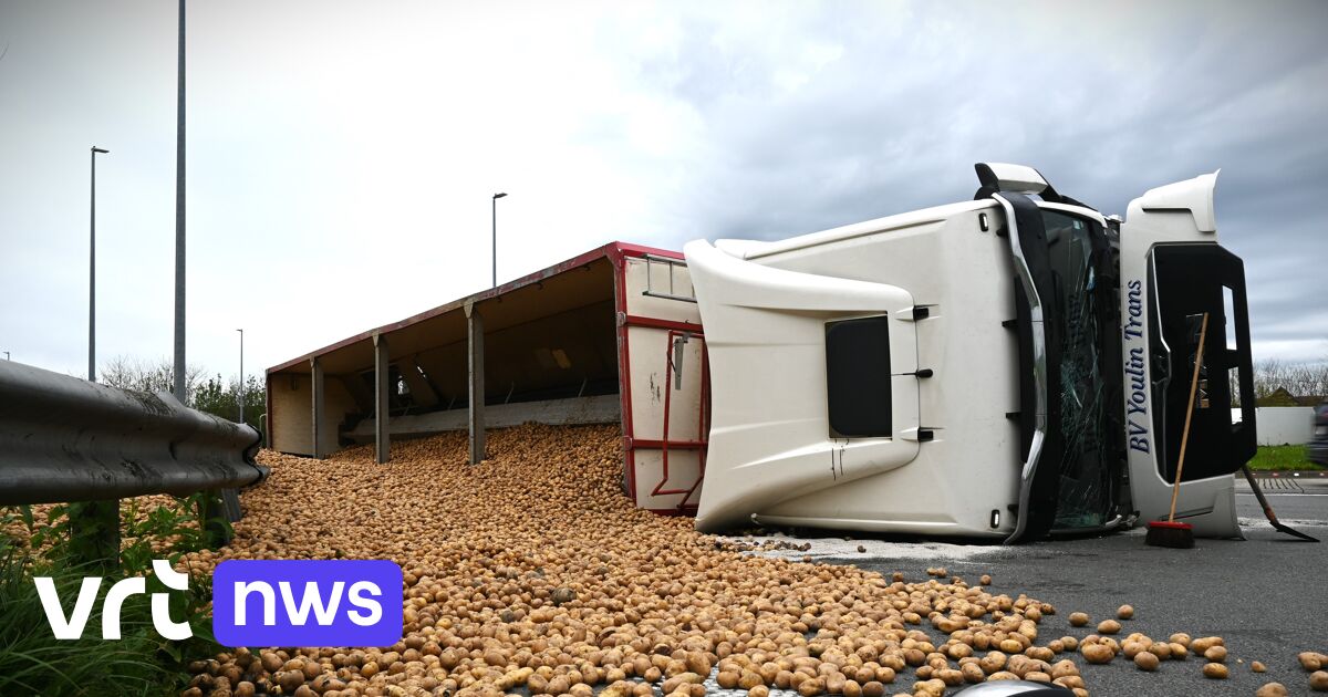 Vrachtwagen met 30 ton aardappelen kantelt op kluifrotonde in Rekkem | VRT NWS: nieuws