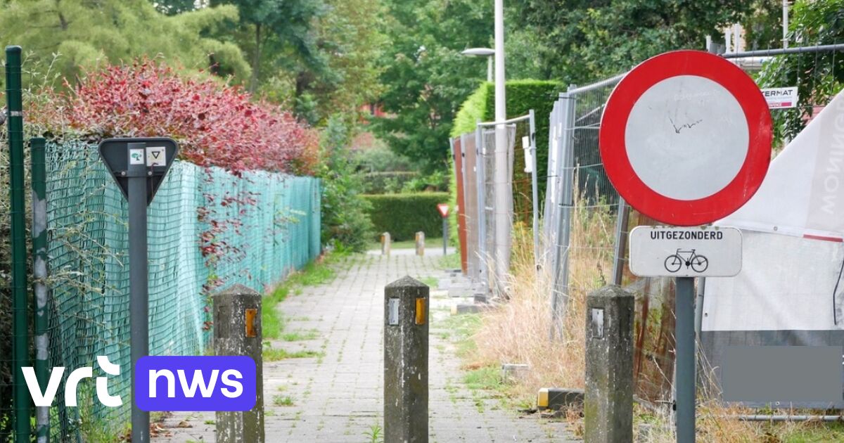 Gent nam al meer dan 300 paaltjes weg om ongevallen te vermijden en plant nieuwe 'ontpaling ...