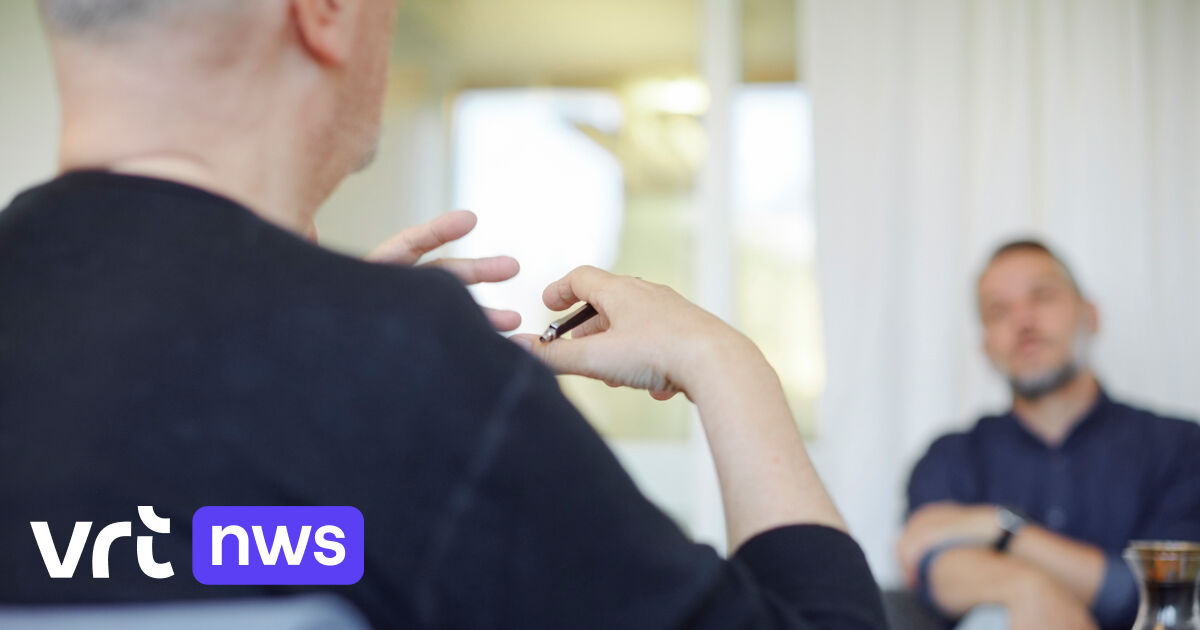 Psychiatrisch centrum, begeleiding overdag of gewoon thuis: internering van misdadigers kan op ...