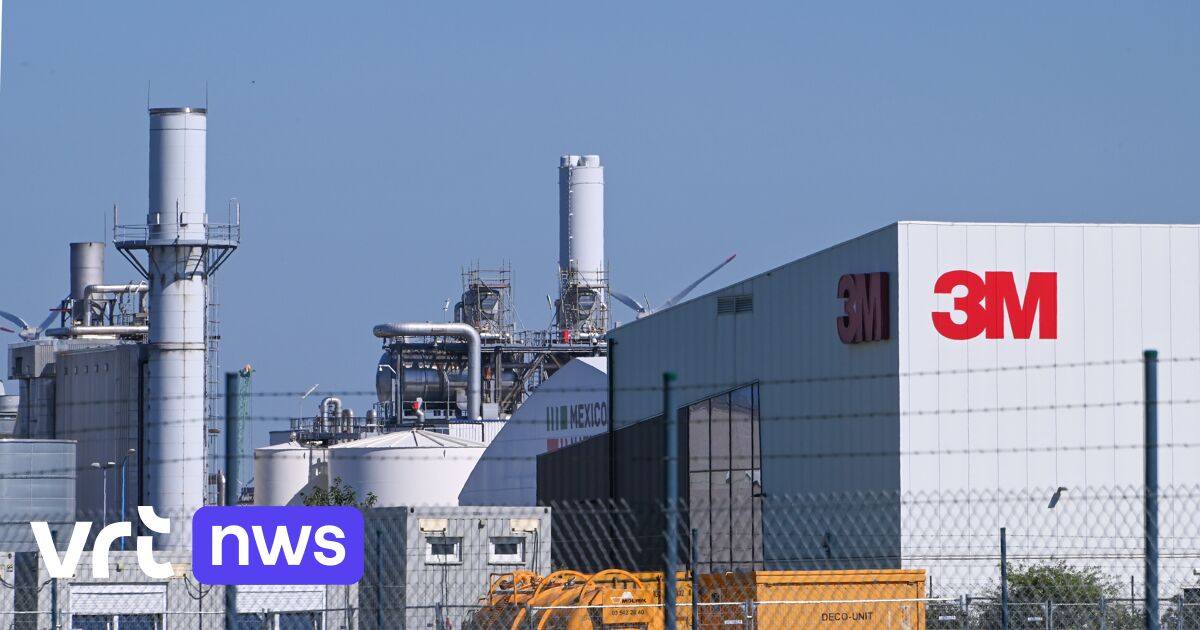 4 saneringsplannen voor PFAS-vervuiling 3M in Zwijndrecht afgekeurd | VRT NWS: nieuws