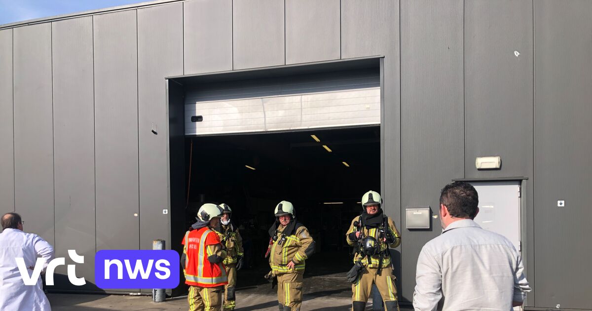 Productie bakkerij Vermaut's Boerenbrood in Lendelede ligt stil na ...