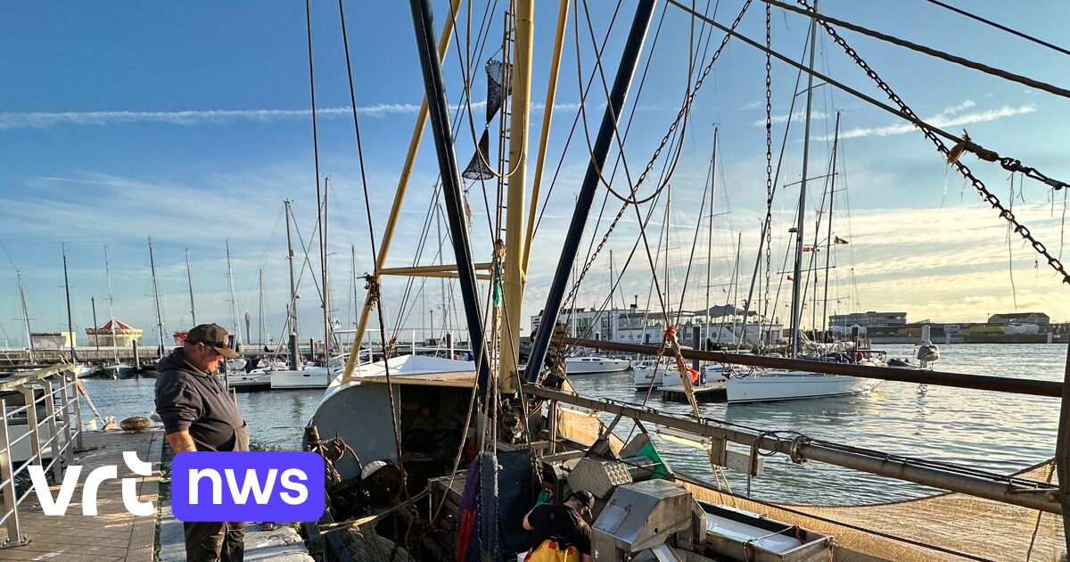Flanders calls on EU to update fishing quotas | VRT NWS: news