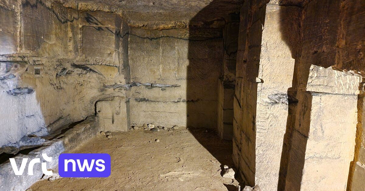 Groeve Grote Berg in Riemst definitief beschermd: "Goede zaak voor de ...