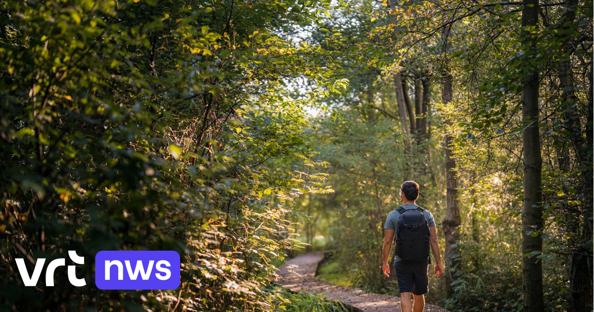 Visit Limburg presenteert toekomstplan: Beter landschapstoerisme en ...