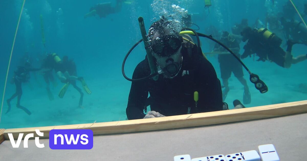 Koppel uit Herk-de-Stad vestigt mee wereldrecord onder water Domino ...