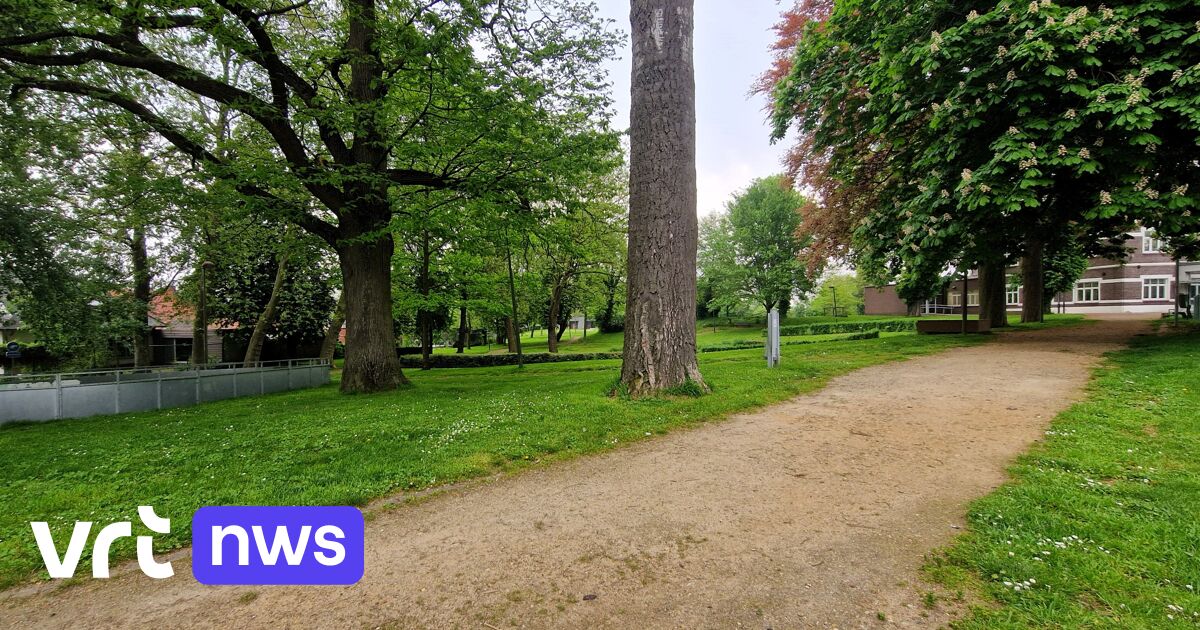 Stadspark van Zoutleeuw wordt opgefrist:"Het moet aangenamer en veiliger worden om er in rond te ...