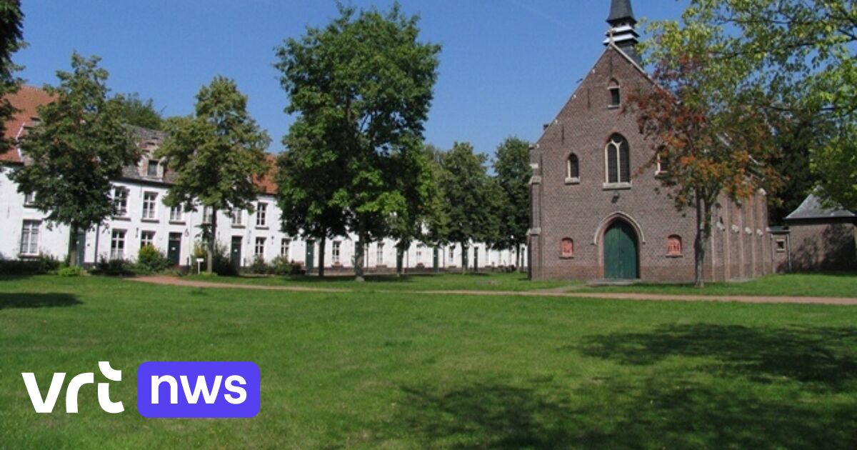 Twaalf huizen begijnhof Dendermonde krijgen restauratie om ze weer ...
