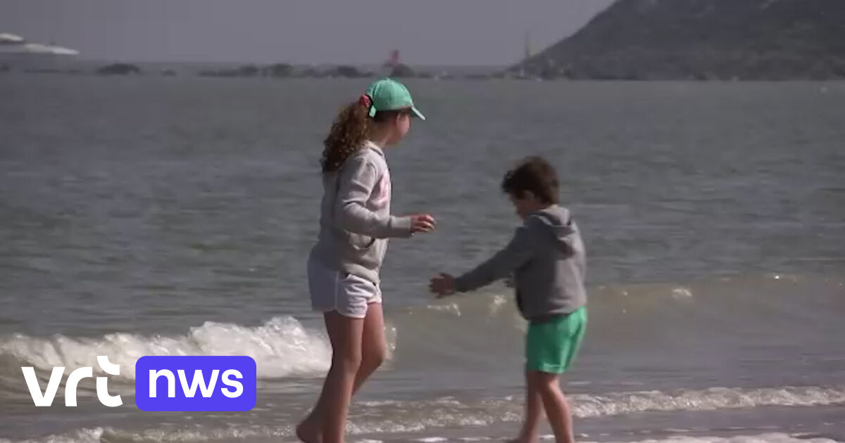 Redders waarschuwen voor gevaarlijke zeestroming: "Zin om te zwemmen ...