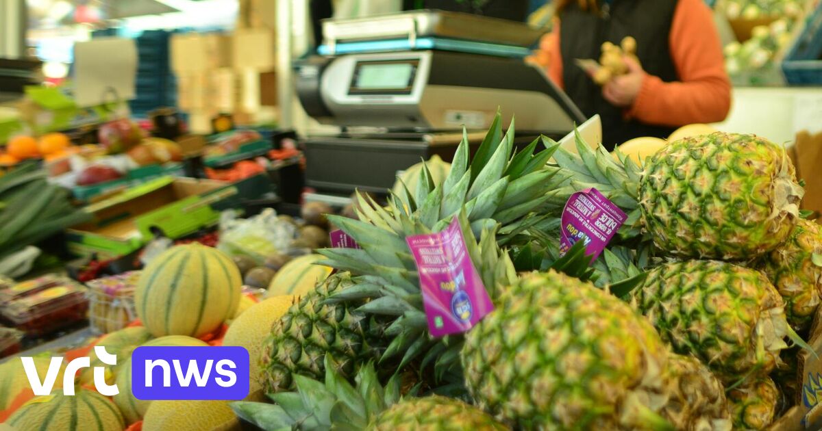 Meer Gentenaars hebben hulp nodig om uit armoede te ontsnappen, kloof ...