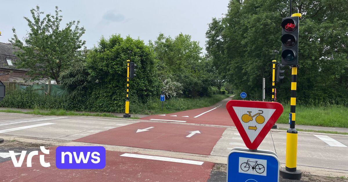 Slimme verkeerslichten op fietssnelweg in Peer tussen Hamont en Hasselt | VRT NWS: nieuws
