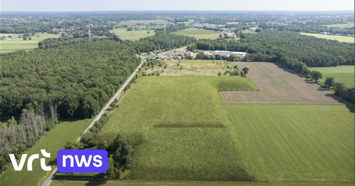 Nieuwe sanering voormalige arseenfabriek in Reppel | VRT NWS: nieuws