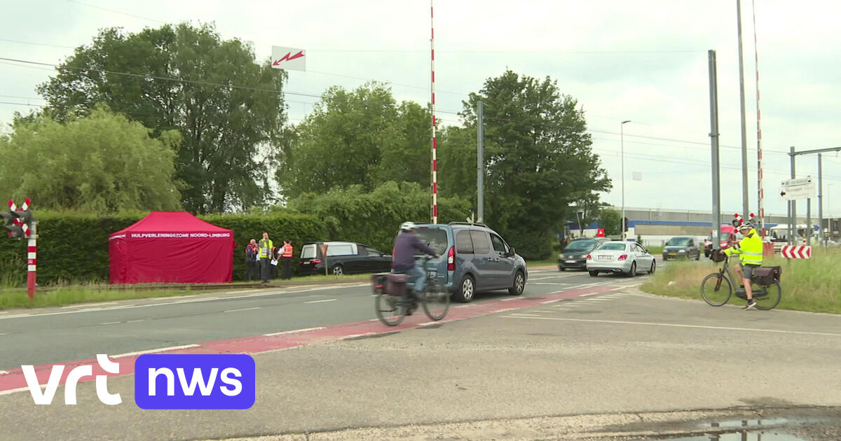 Fietser (63) sterft na aanrijding door trein op gesloten overweg in Pelt: "Zulke ongevallen ...