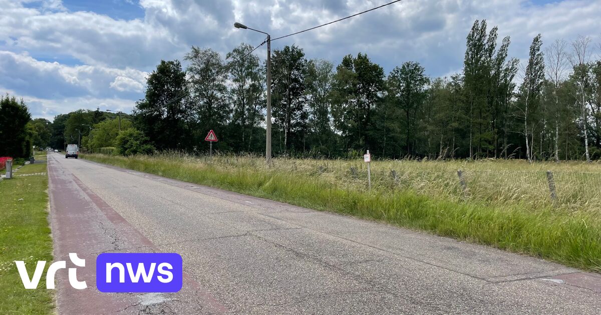 Kanaalstraat in Leopoldsburg wordt veiliger: "We gaan ook harder optreden tegen overdreven ...