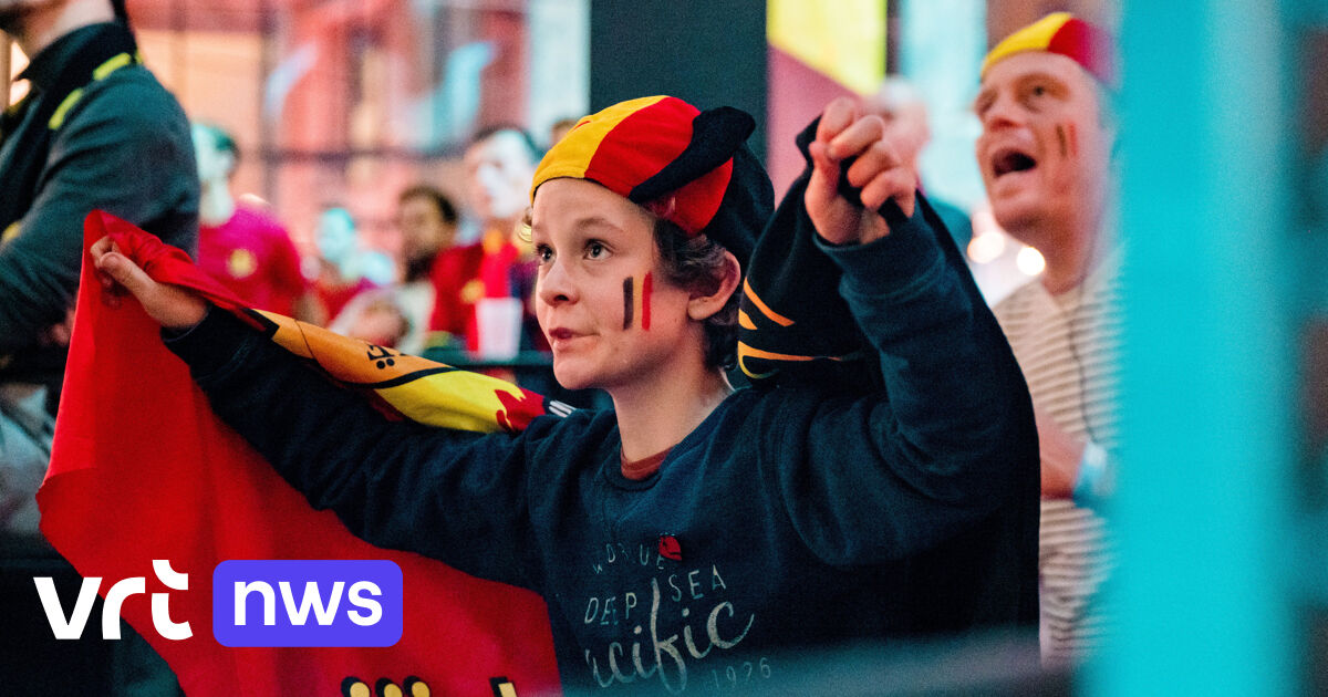 Extra veiligheidsmaatregelen in politiezone AMOW voor EK voetbal op ...