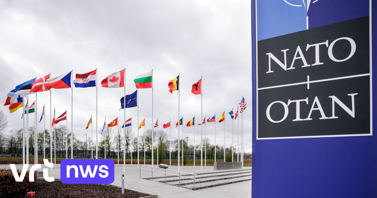 Estland wil hogere NAVO-norm voor investeringen in defensie (terwijl ...