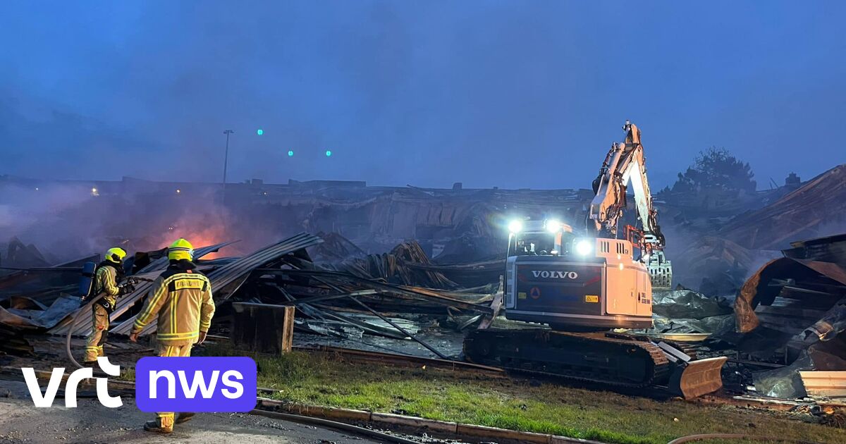 Brand in loods Brucargo in Machelen geblust: gebouw is volledig ...